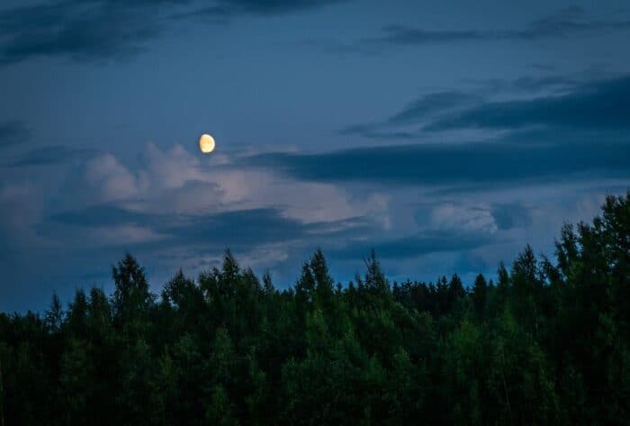 Moon Line AstroCartography - Forever Home? | Ellie Cleary | Sacred ...