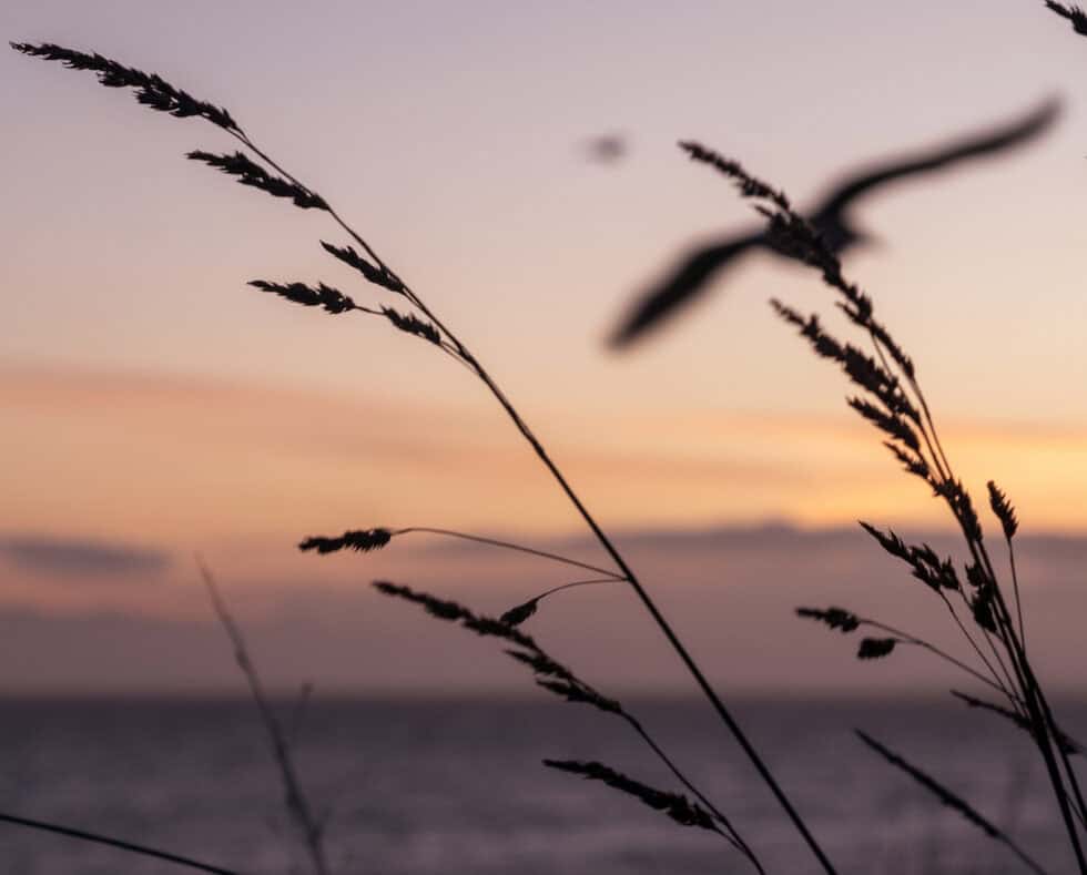 Saturn Line AstroCartography - Honouring the Ancestors | Ellie Cleary ...